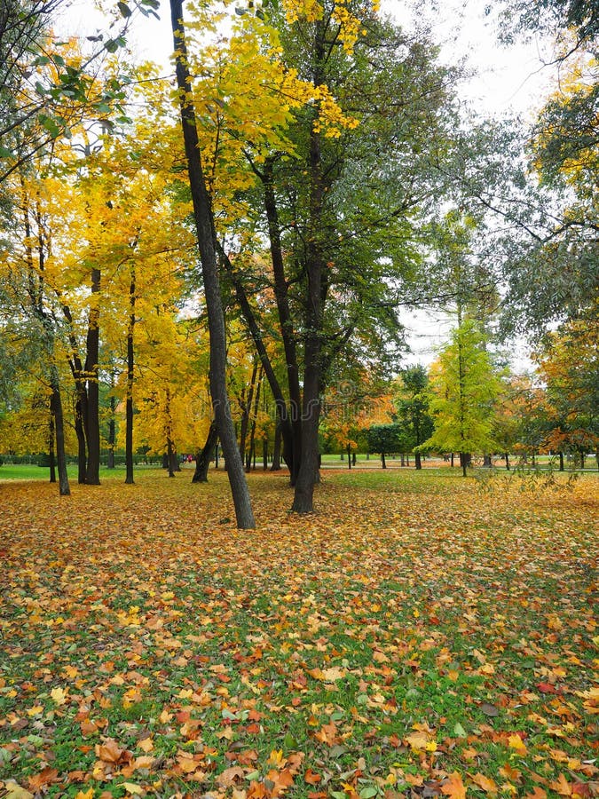 Beautiful Winter Garden the Leaves are Changing Color Stock Image ...
