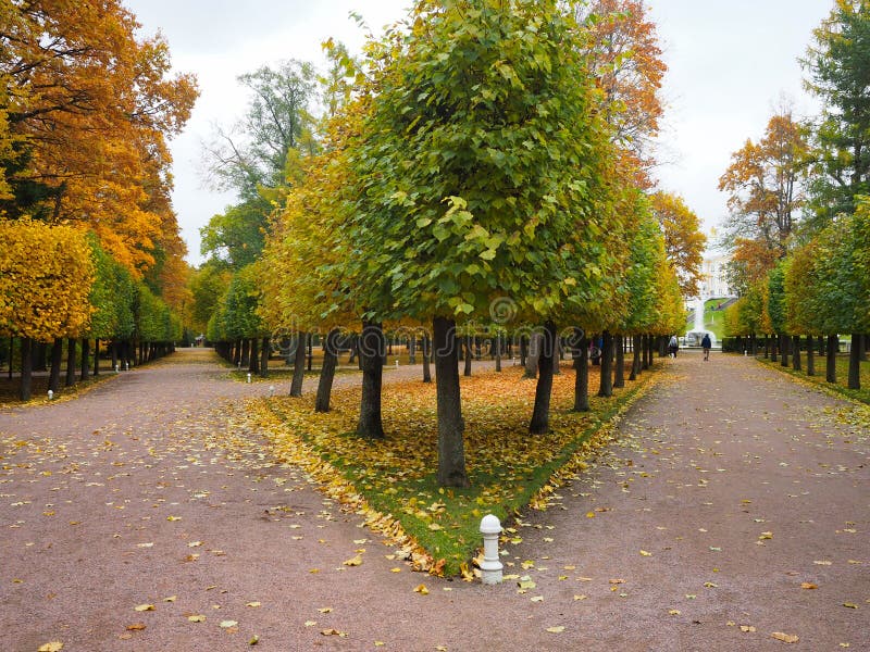 Beautiful Winter Garden the Leaves are Changing Color Stock Image ...