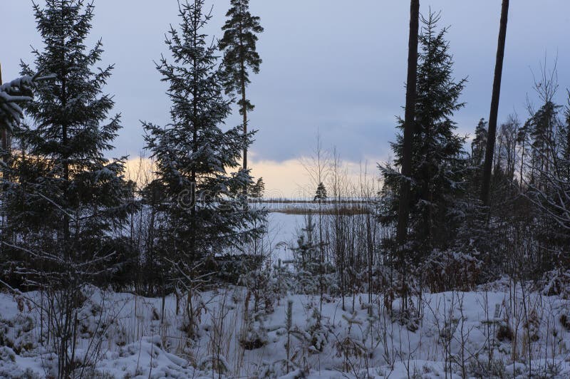 Beautiful Winter Landscape in Daylight Stock Image - Image of winter ...