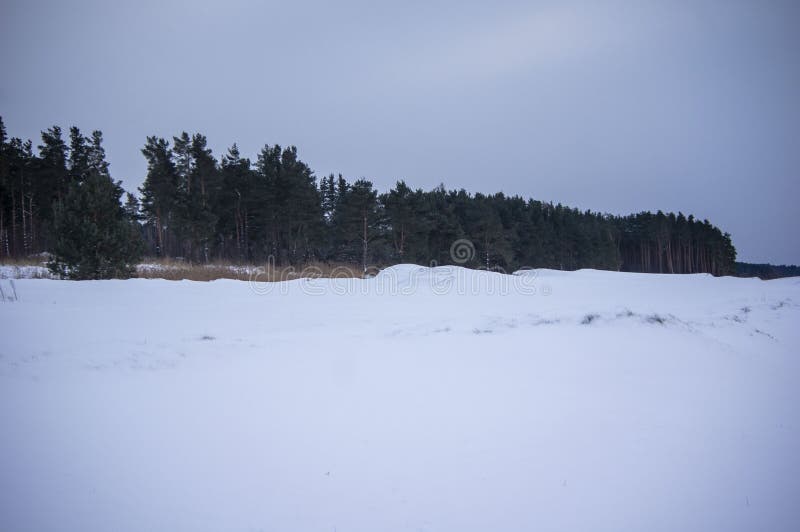 Beautiful Winter Landscape in Daylight Stock Image - Image of cold ...