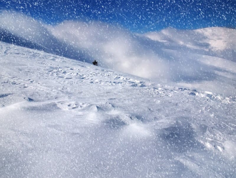 Beautiful Winter Landscape with Falling Snow. Stock Image - Image of ...