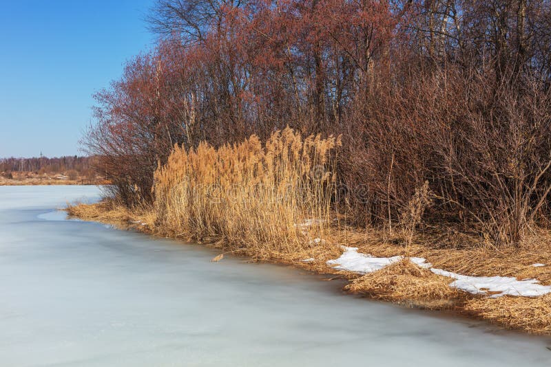 Beautiful Winter Landscape with Ice River, Trees and Dry Grass. Stock ...