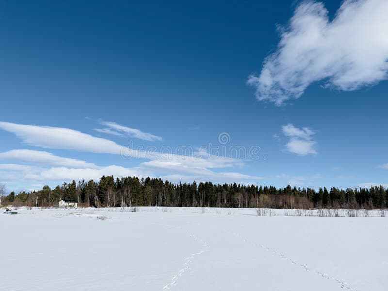 Winter Landscape of North Sweden Stock Image - Image of tree, snow ...