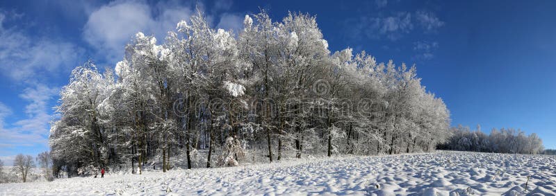 Beautiful winter landscape stock image. Image of saxony - 39032733