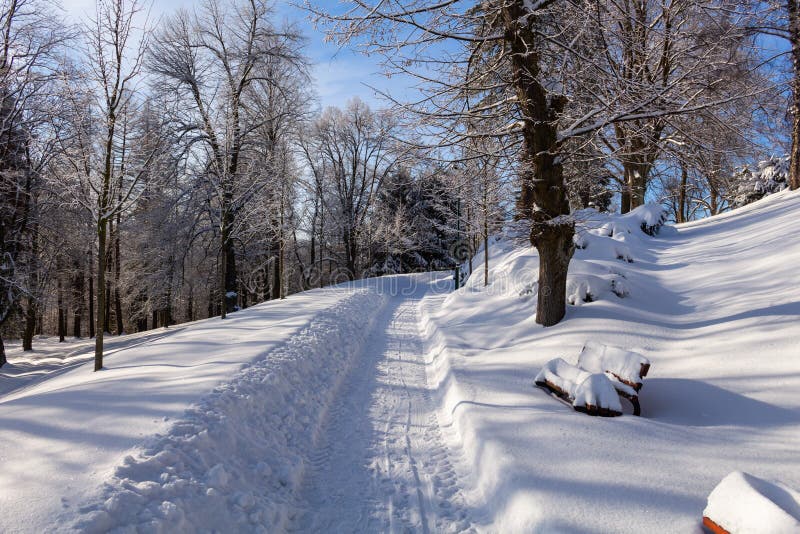 Beautiful Winter Landscape and Road To Nowhere Stock Photo - Image of ...