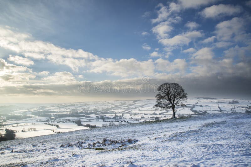 Beautiful Winter Landscape Snow Covered Fields in Countryside Stock ...