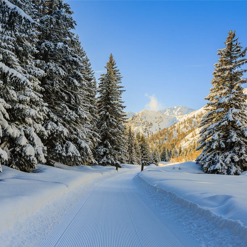 Beautiful Winter Landscape. Stock Photo - Image of season, travel: 78497428