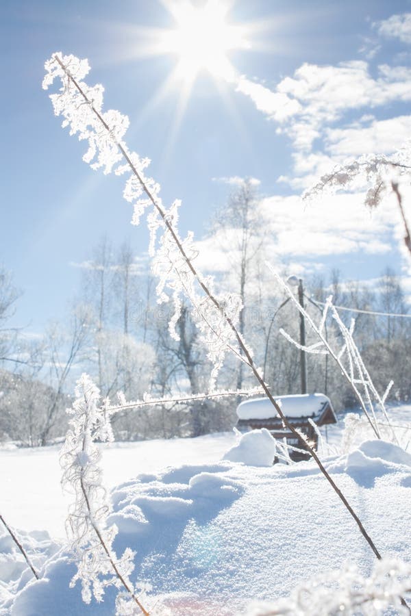 Beautiful Winter Landscape with Snow Covered Trees Stock Photo - Image ...
