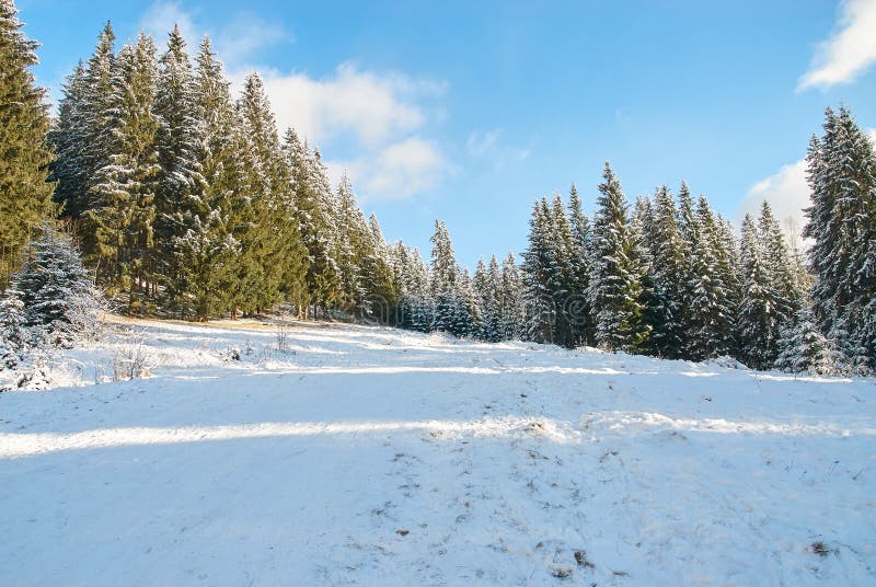 Beautiful Winter Landscape with Snow Covered Trees Stock Photo - Image ...