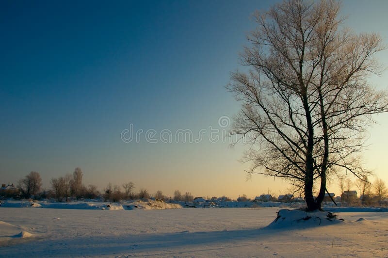 Beautiful Winter Landscape with Snow Covered Trees Stock Image - Image ...