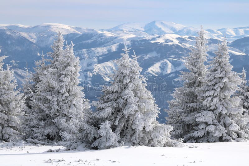 Winter Landscape with Snow and Trees Stock Image - Image of color ...