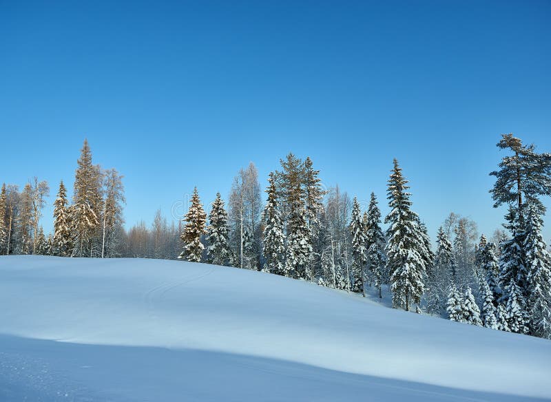 Beautiful winter landscape stock image. Image of season - 171290201