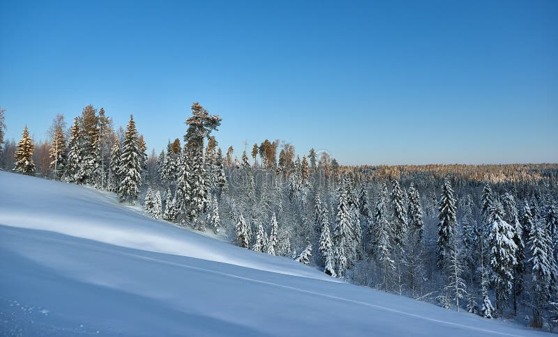 Beautiful winter landscape stock photo. Image of space - 171416936