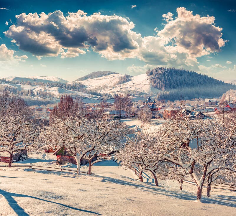 Beautiful Winter Landscape in Snowy Garden Stock Image - Image of ...