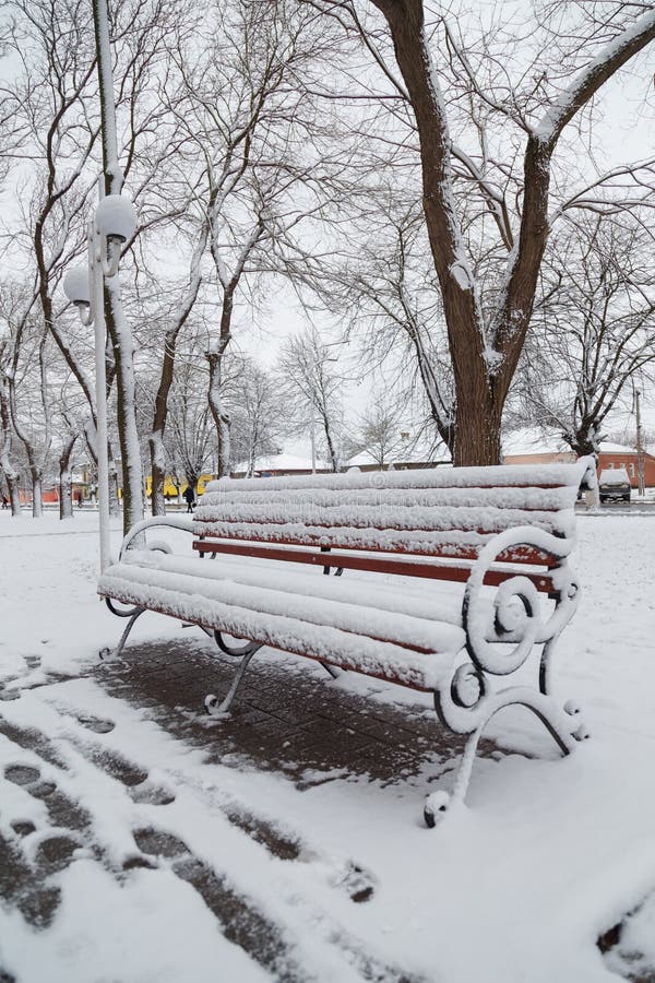 Beautiful Winter Landscape, Trees and Bench in Park Covered with Snow ...