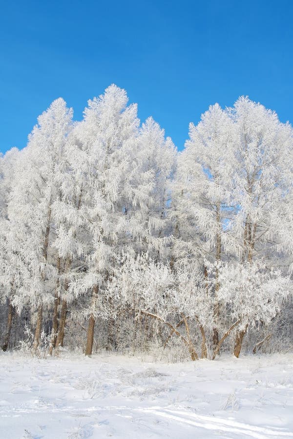 Beautiful winter landscape stock image. Image of russian - 39176755