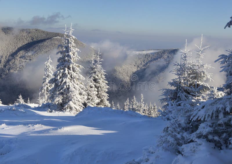 Quiet Winter Snowy Landscape Stock Photo - Image of coldish, drift ...