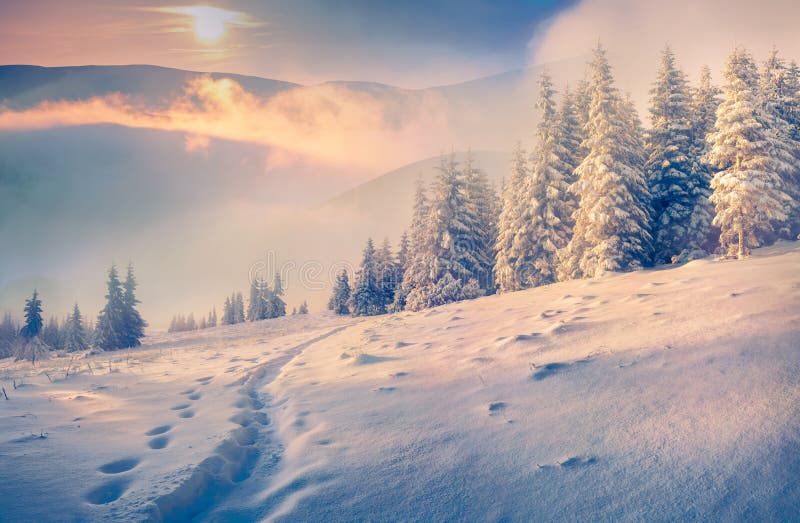 Beautiful Winter Morning in Mountains Stock Image - Image of bright ...