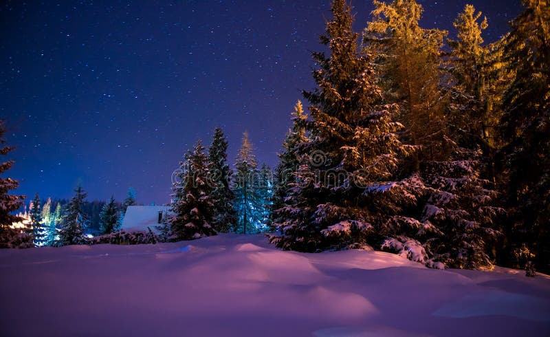 Beautiful Winter Night Landscape Stock Photo - Image of lights ...