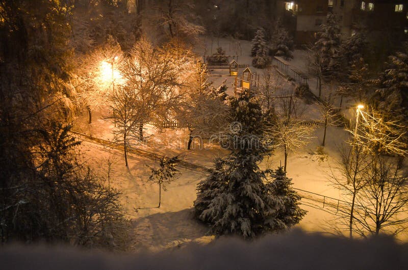 Beautiful Winter Night in a Park Stock Photo - Image of tower, foresst ...