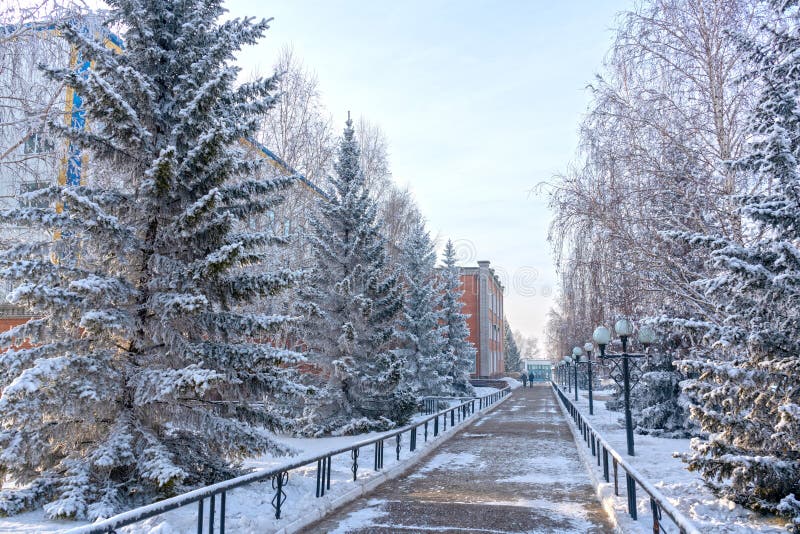 Beautiful Winter Pedestrian Alley with Lanterns Stock Image - Image of ...