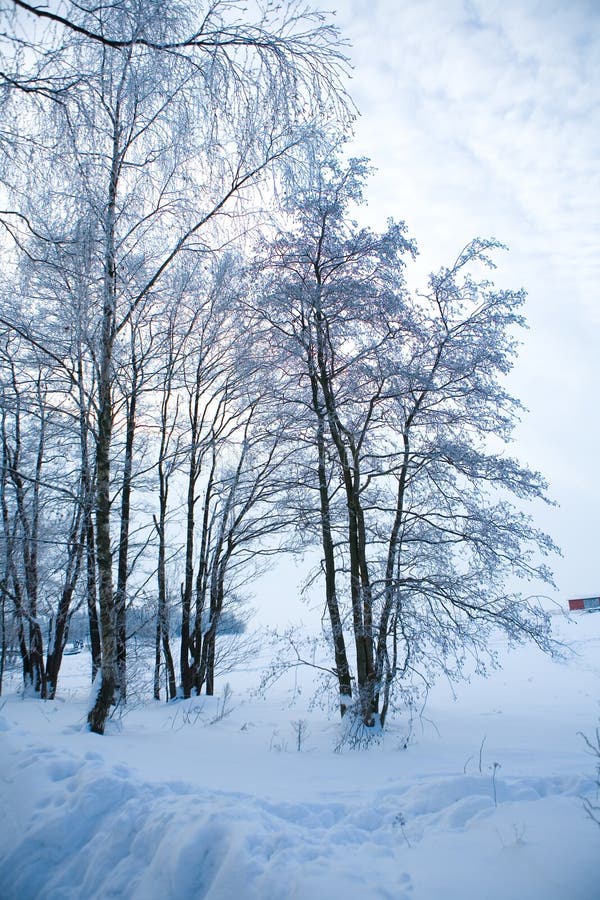 Beautiful winter scene stock image. Image of outdoor - 13168403