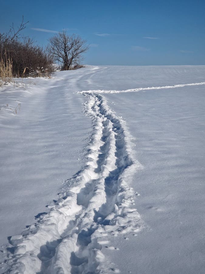 Beautiful Winter Scene with Footprints Creating a Path on the Snow ...
