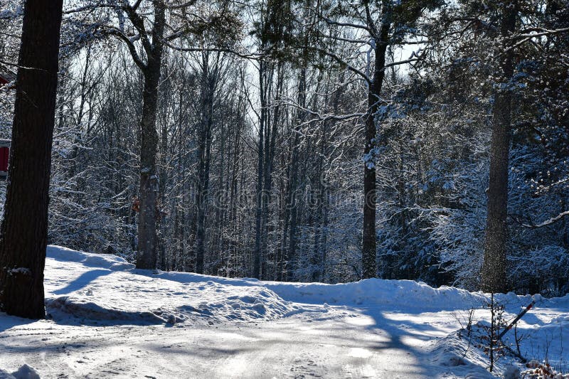 Winter Path Intersection stock image. Image of weather - 360351463