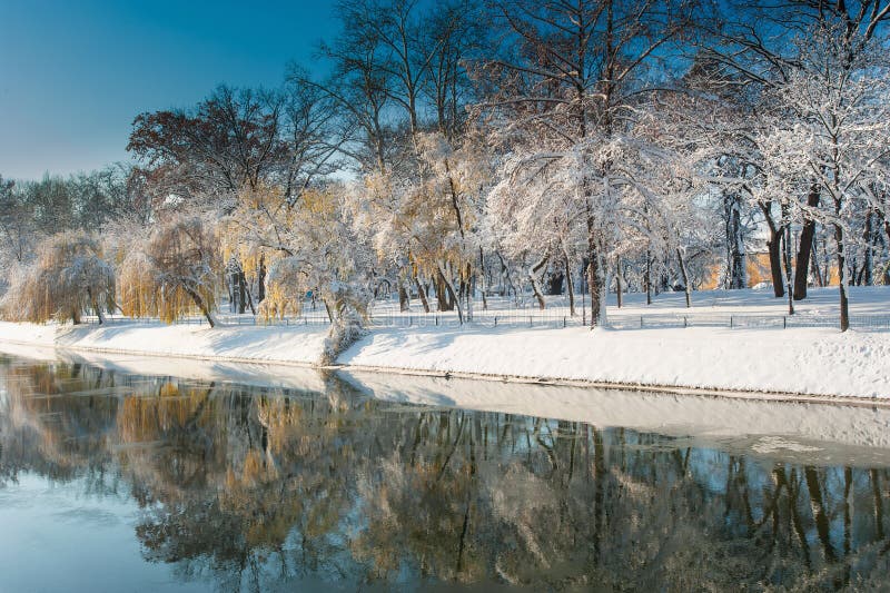 Beautiful Winter Scenery with Fresh Snow and Trees in a Park Stock ...