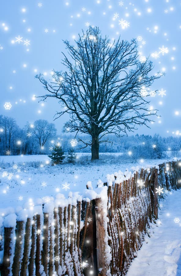Beautiful winter scenic stock image. Image of fence, moody - 7448599