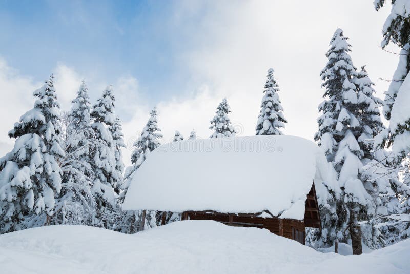 Beautiful Winter Snow Covered Trees and Small Hut in Snowfall Da Stock ...
