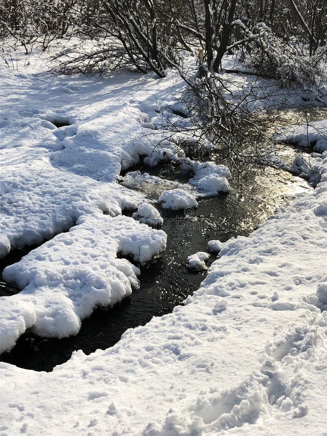 Beautiful Winter Stream Flows in the Forest Stock Photo - Image of ...