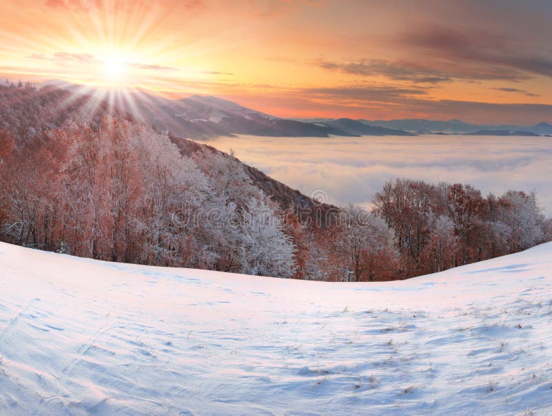 Beautiful winter sunrise stock image. Image of dawn, mist - 20490633