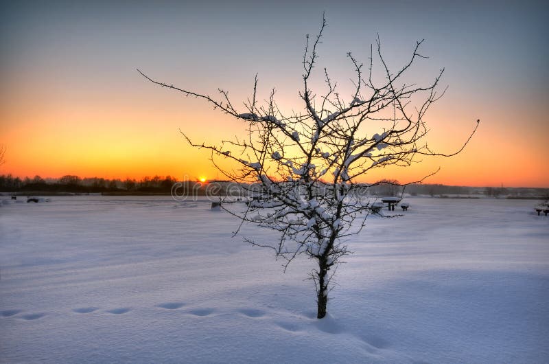 Beautiful winter sunset stock image. Image of cold, january - 16301997