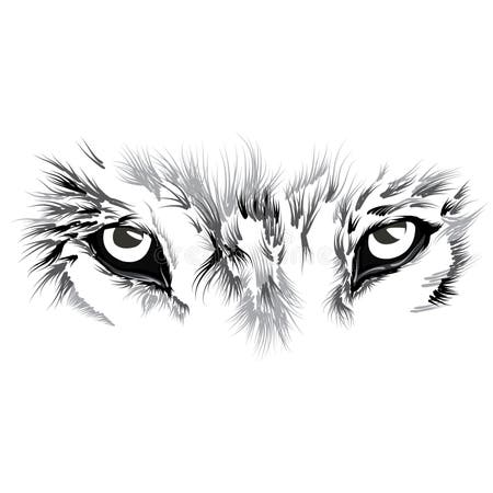 Wolf Outline Face Stock Illustrations – 3,112 Wolf Outline Face Stock ...
