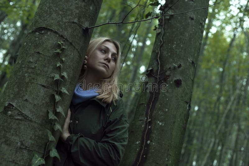 Beautiful Woman Alone in the Forest in Autumn Stock Photo - Image of ...