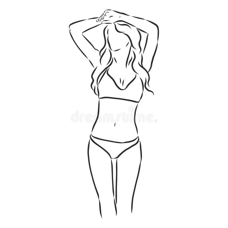 Beautiful Woman Bodies In Bikini Vector Illustration Swimsuit Vector