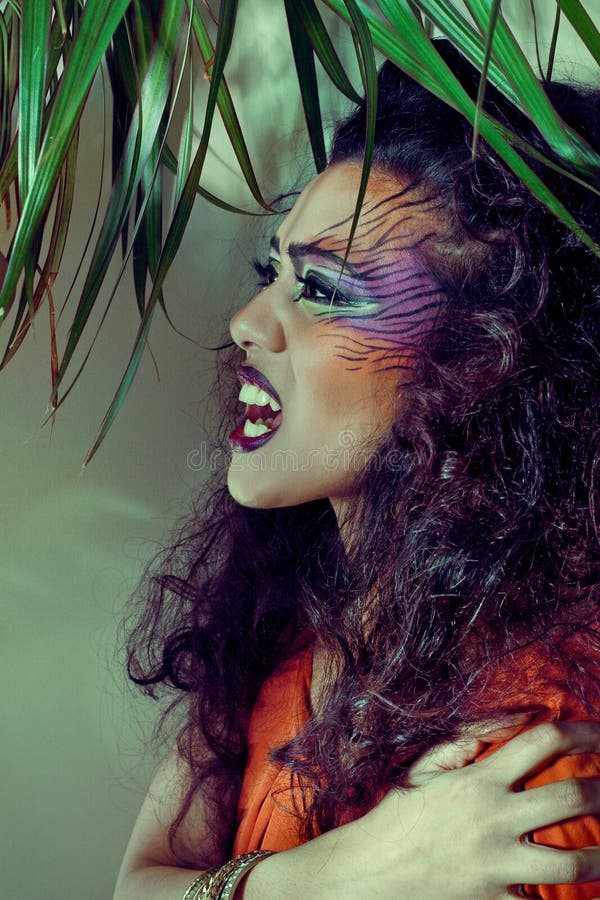 Beautiful Woman with Creative Tiger Style Make-up Stock Image - Image ...
