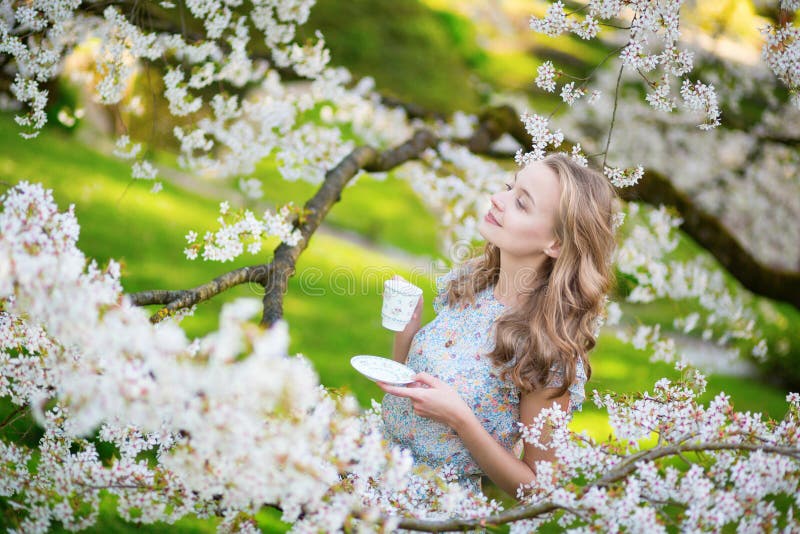 Beautiful Woman Drinking Tea in Cherry Garden Stock Photo - Image of ...