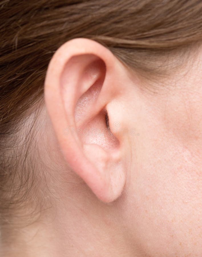 Beautiful woman ear stock image. Image of view, brunette - 76504121