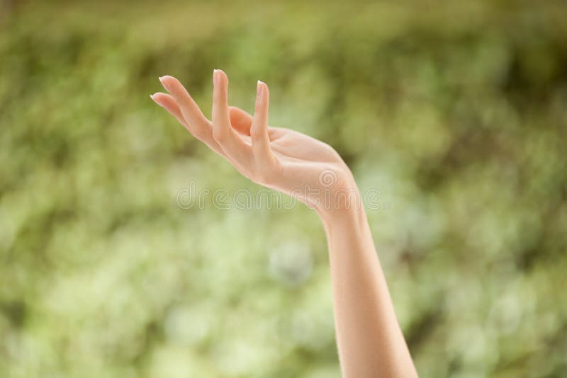 Beautiful Woman Hand stock photo. Image of nail, gesturing - 29318048