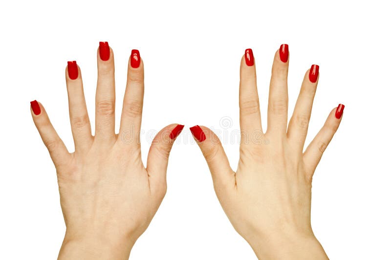 Two elegant woman hands stock photo. Image of beautiful - 4496194