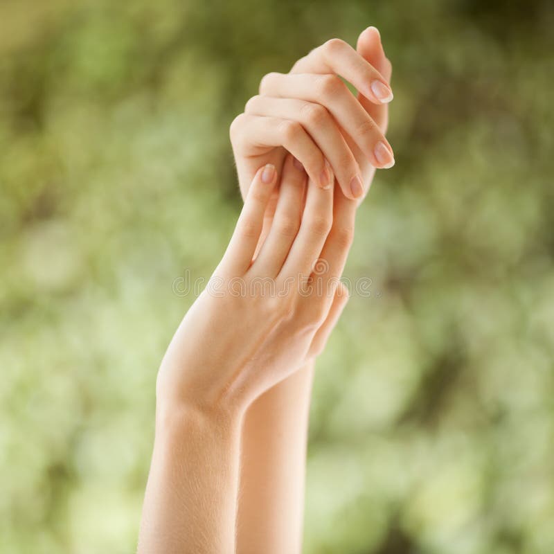 Beautiful Woman Hands stock photo. Image of moisturizer - 29318020