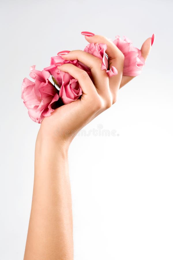 Beautiful woman hands stock image. Image of isolated - 34558583