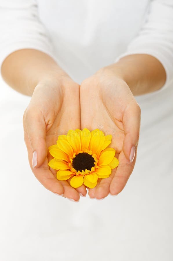 Beautiful hands stock image. Image of pebble, hands, body - 4210743