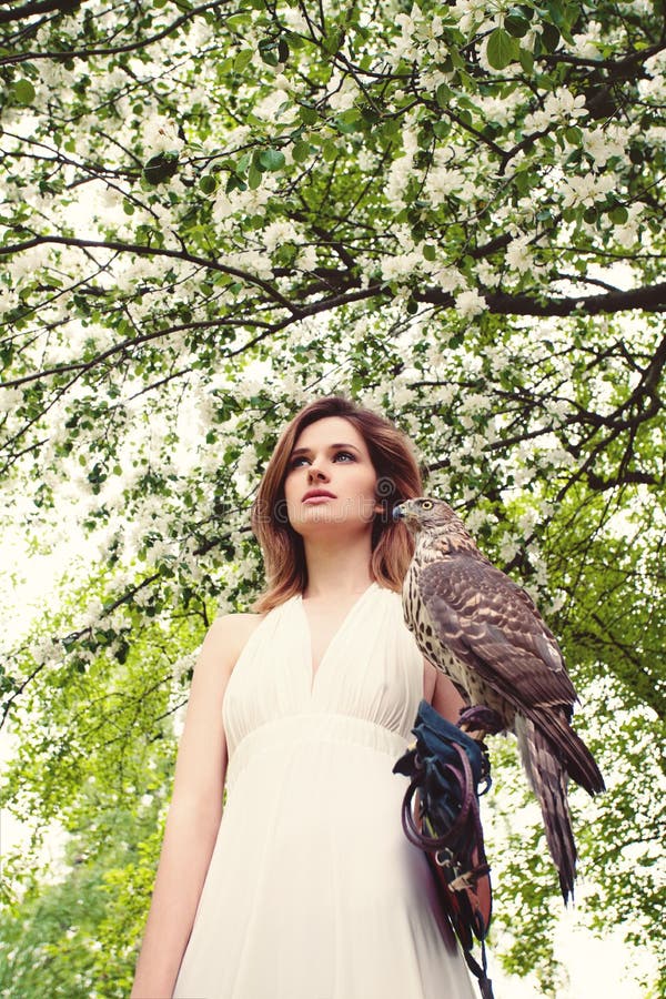 Beautiful Woman with Hawk on Blossom Stock Image - Image of fashion ...