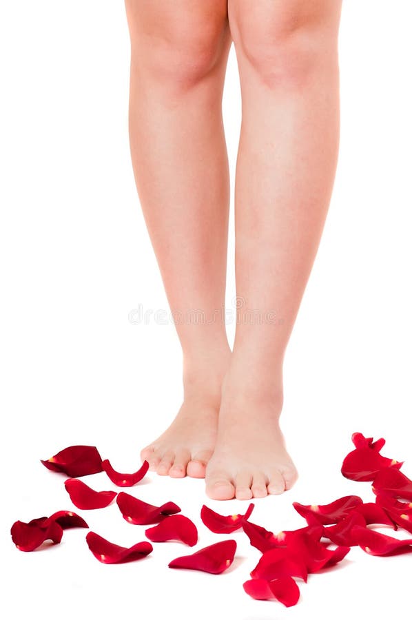 Beautiful Woman Legs With Rose Picture. Image: 17885431