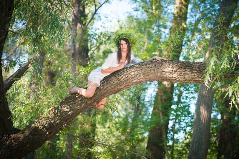 Beautiful Woman Lying on Tree in Forest Stock Photo - Image of blue ...