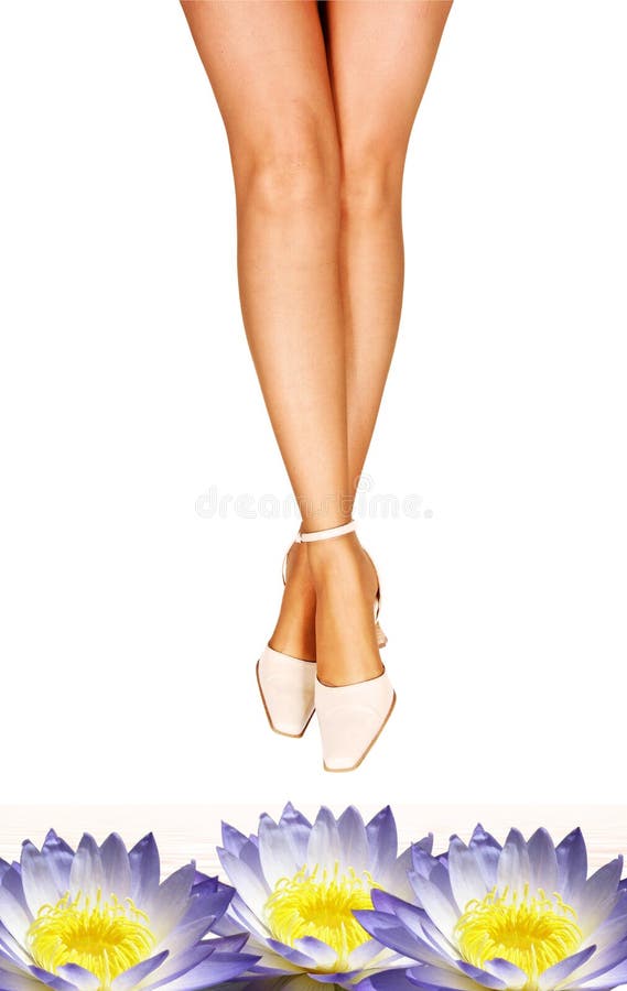 Beautiful woman s legs stock photo. Image of human, flora - 14464008
