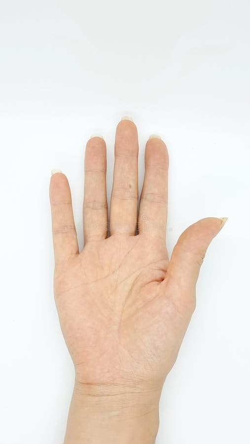 Beautiful Woman S Opened Right Hand on White Background Stock Image ...